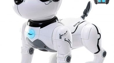 Top Race Remote Control Robot Dog Review - Robot Pet Friends