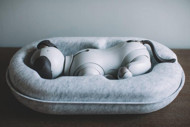 Robot Dog History: Who Made the First Robotic Dog and When? - Robot Pet ...