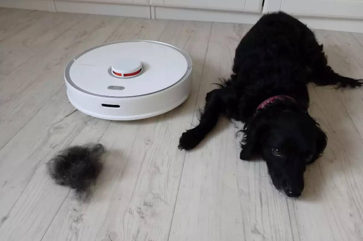 Do Robot Vacuums Work for Pet Fur? - Robot Pet Friends