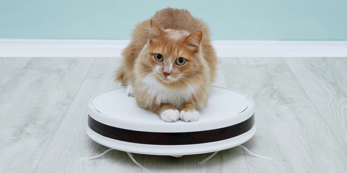 Are Robot Vacuums Safe for Cats? - Robot Pet Friends