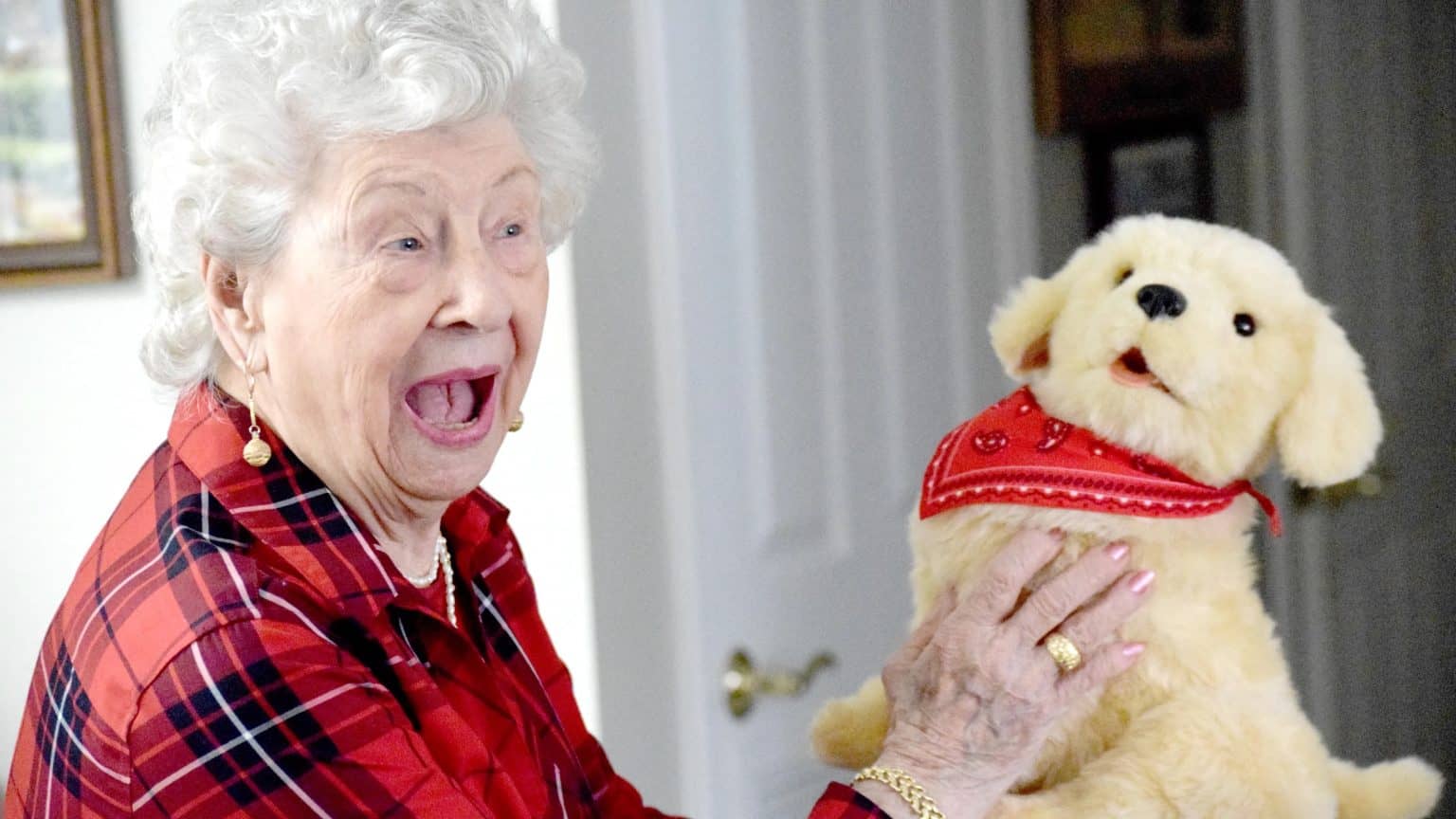 The Broome County Office for Aging is Giving Away Robot Pets to ...