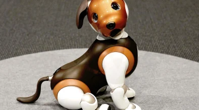 Battery Life and Maintenance for Robot Pets [Everything You Need to ...