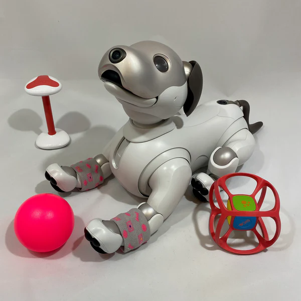 4 Accessories and Add-ons for Your Robot Pets - Robot Pet Friends