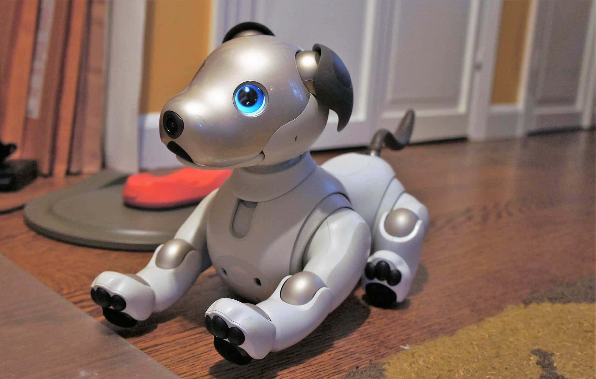 Troubleshooting and Repair Tips for Robot Pet Malfunctions - Robot Pet ...
