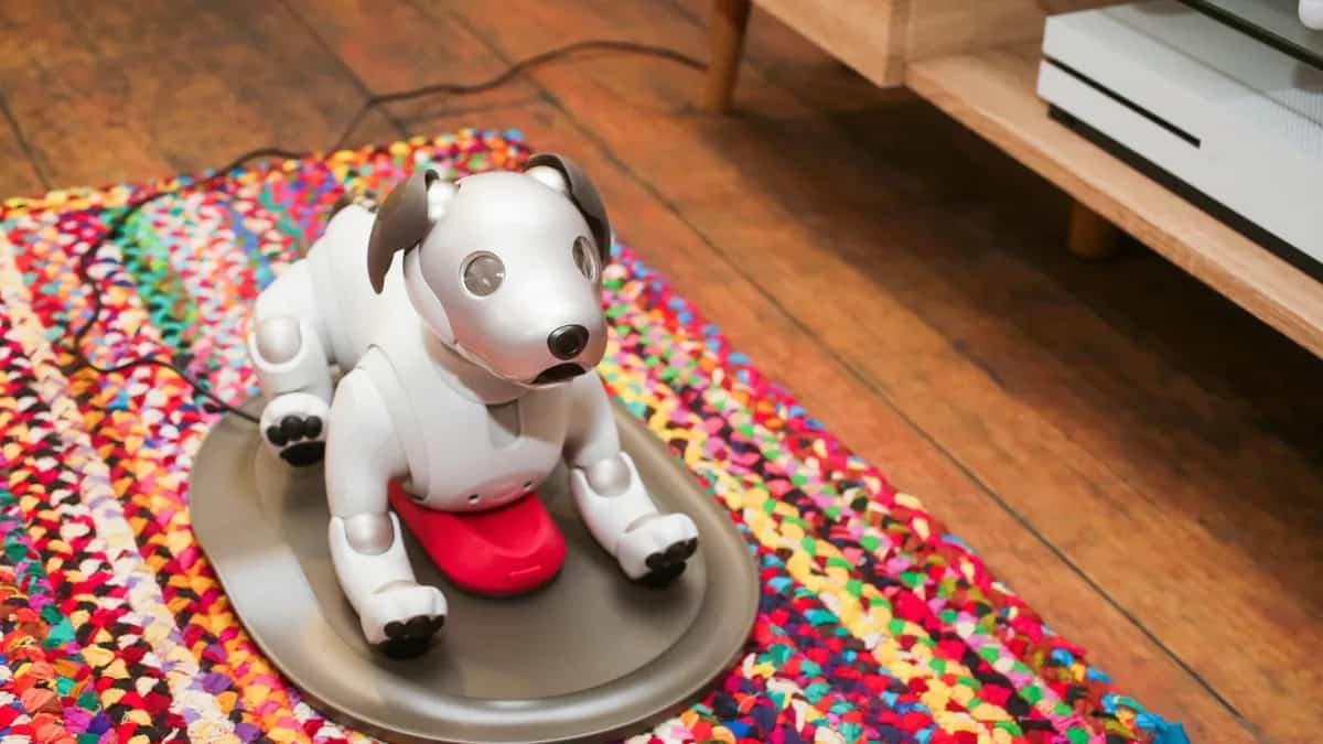 Troubleshooting and Repair Tips for Robot Pet Malfunctions - Robot Pet ...