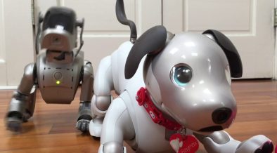 Key Innovations That Shaped Robot Pet Evolution - Robot Pet Friends