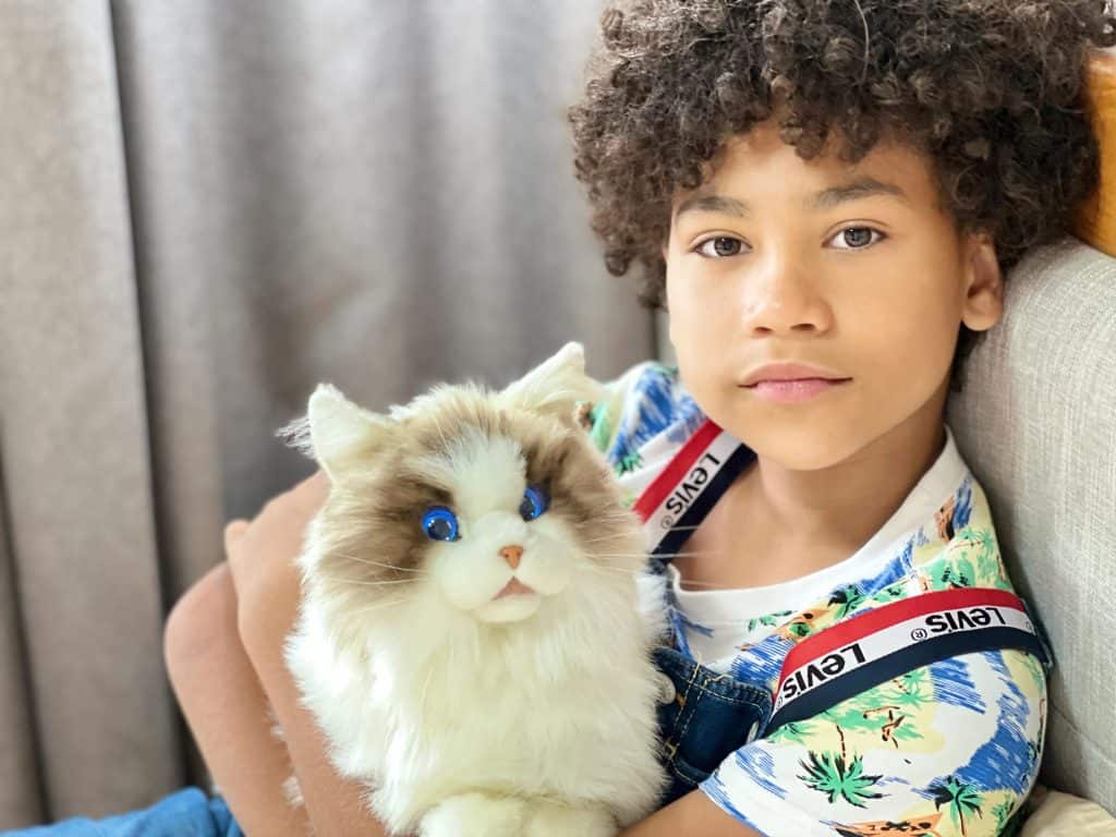 8 Emotional Benefits of Owning Robot Pets - Robot Pet Friends