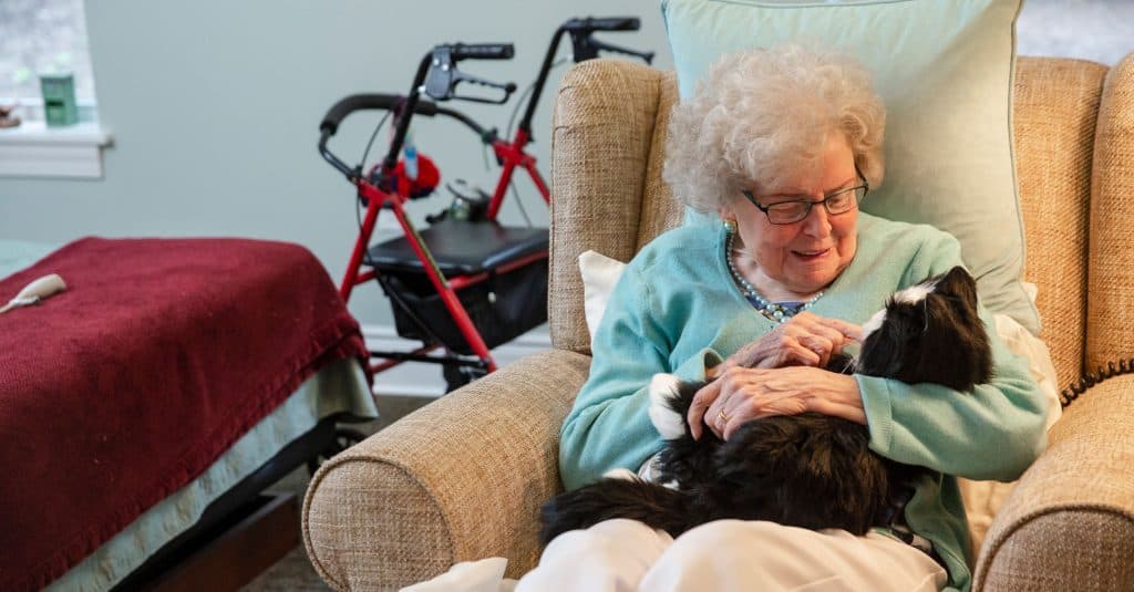 The Therapeutic Role of Robot Pets in Mental Health - Robot Pet Friends