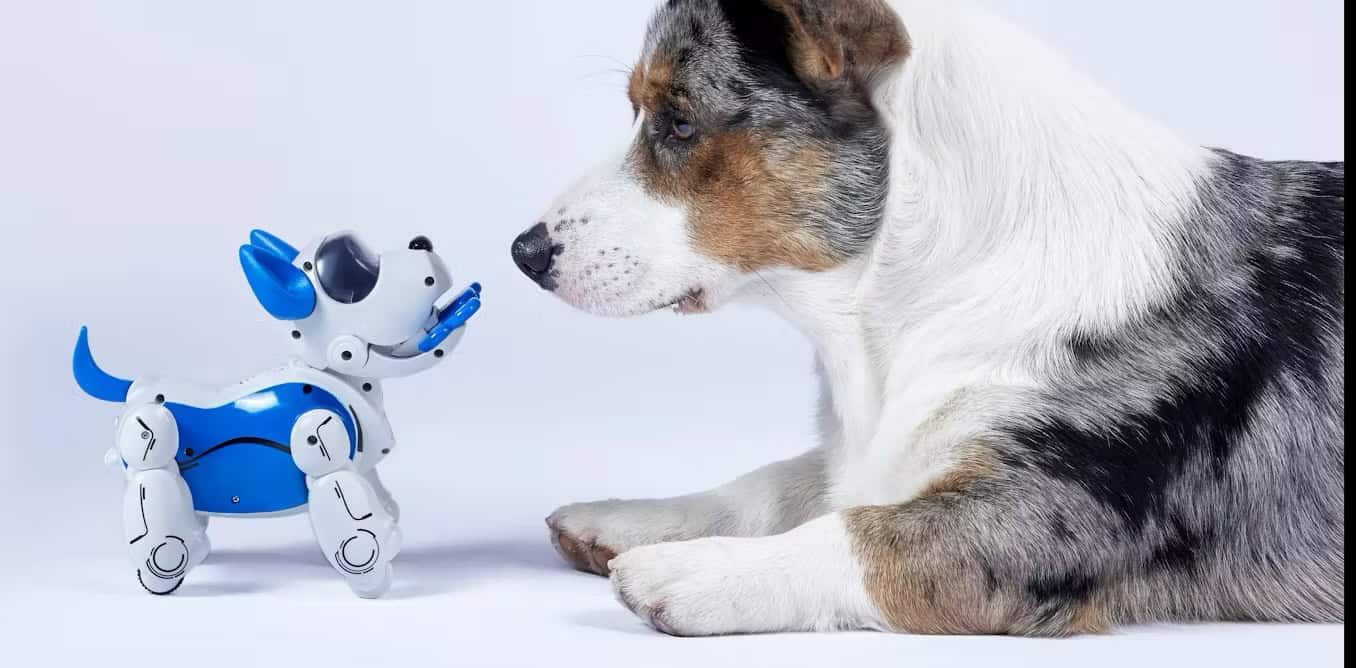 Animal Welfare: Reducing Neglect with Robot Pet Adoption? - Robot Pet ...