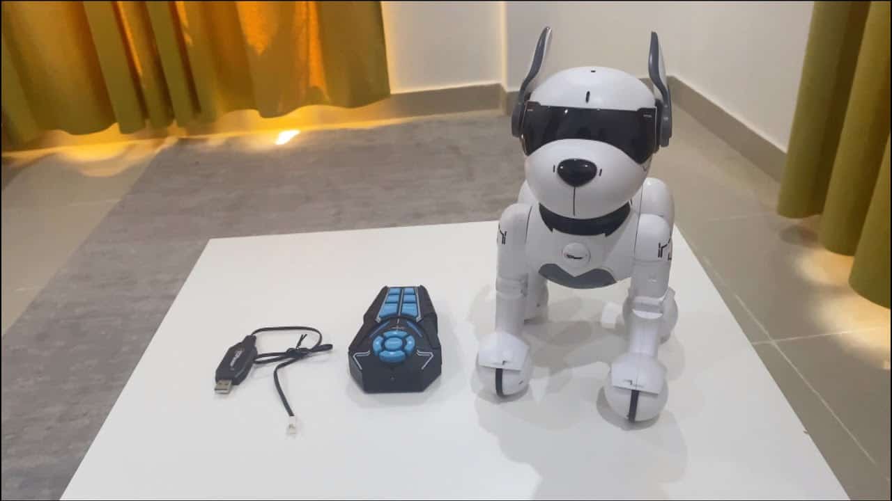 6 Best Practices for Charging Robot Pets - Robot Pet Friends