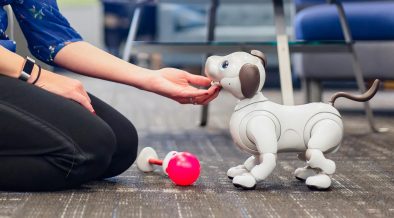 Cognitive Responses to Robot Pet Stimuli - Robot Pet Friends
