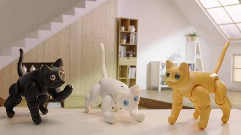 6 Predictions for AI in the Next Generation of Robot Pets - Robot Pet ...