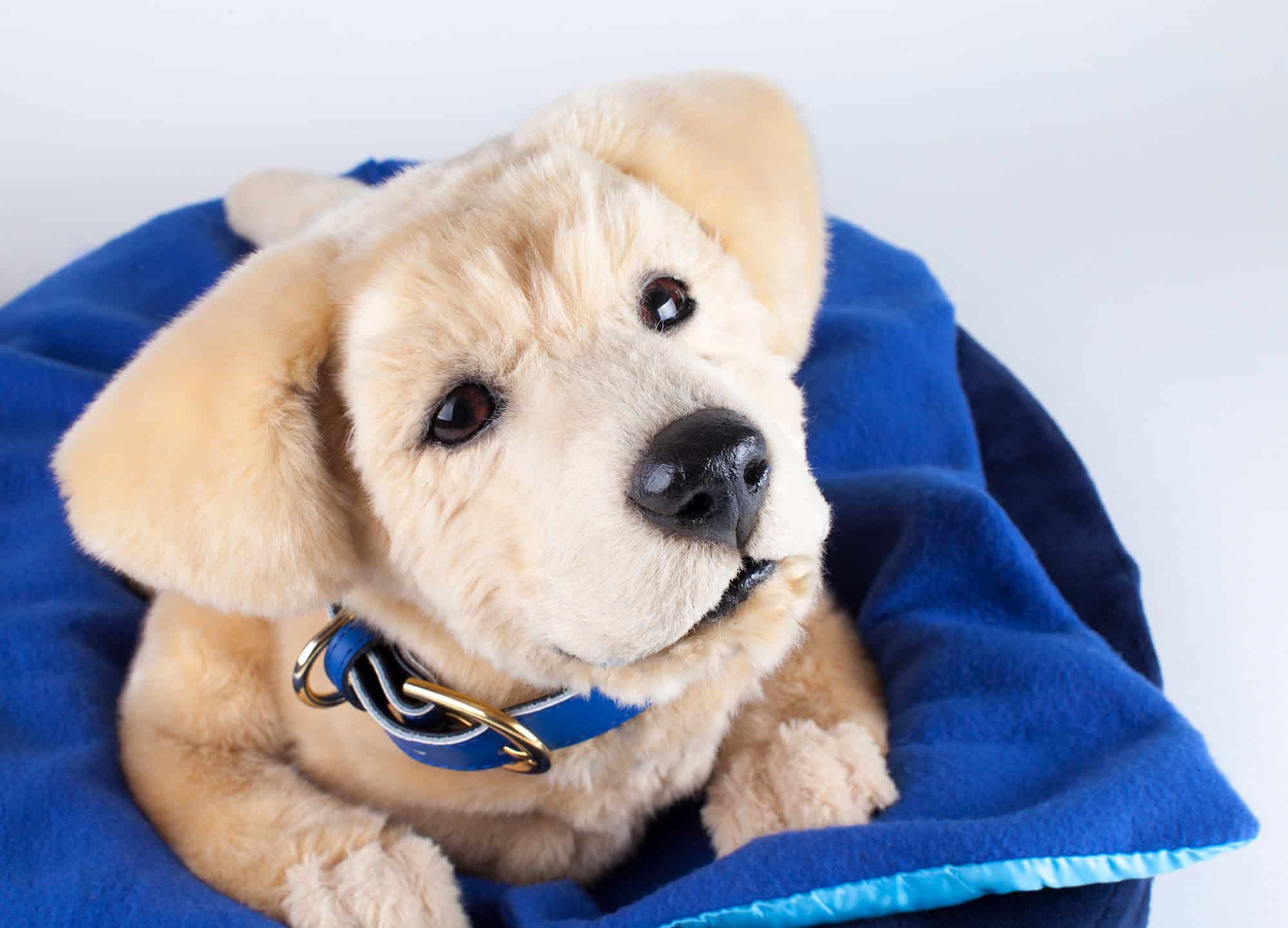 How AI Powers Realistic Behavior in Robot Pets - Robot Pet Friends