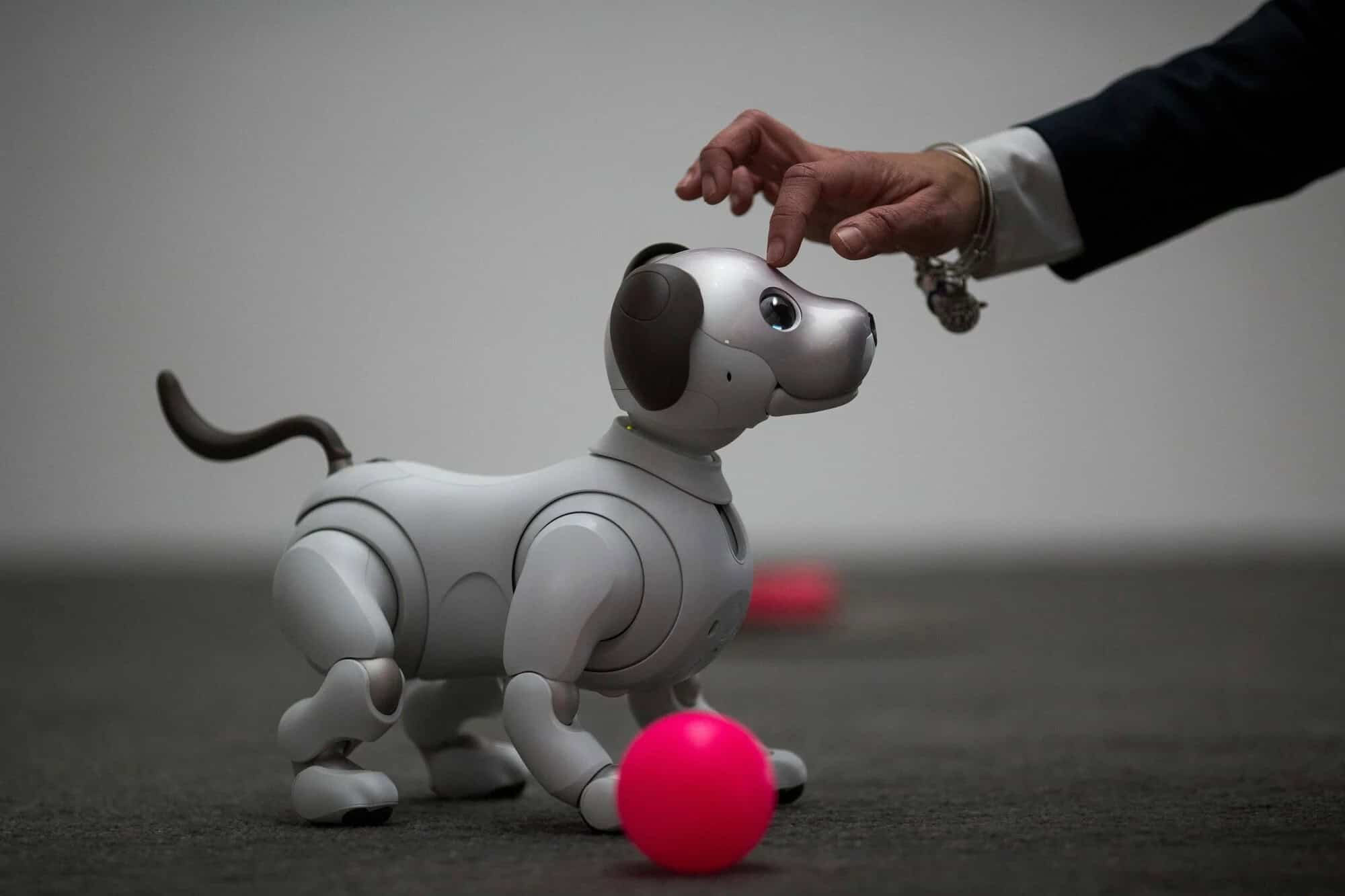 6 Predictions for AI in the Next Generation of Robot Pets - Robot Pet ...