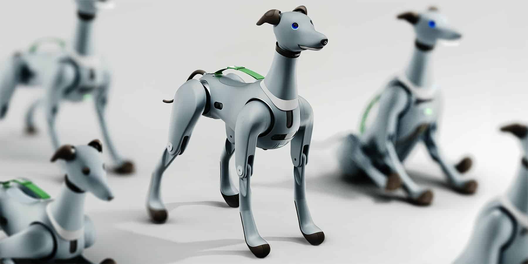 The Evolution of AI Algorithms in Robotic Animal Interactions - Robot ...