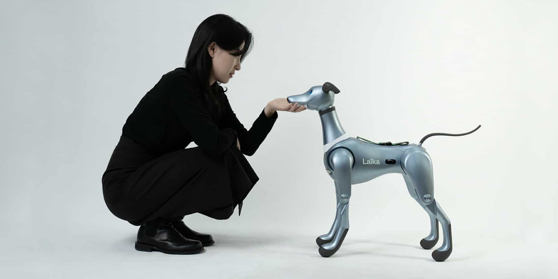 How AI Tailors Robot Pet Interactions to Individual Users - Robot Pet ...