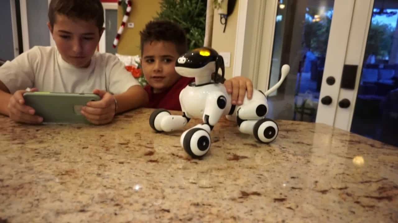 6 Educational Benefits of Robot Pets for Kids - Robot Pet Friends