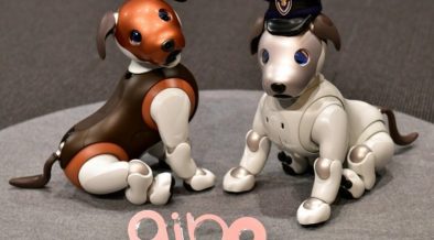 Sony's Aibo RoboCop Dog Can Now Watch Over Your Family - Robot Pet Friends