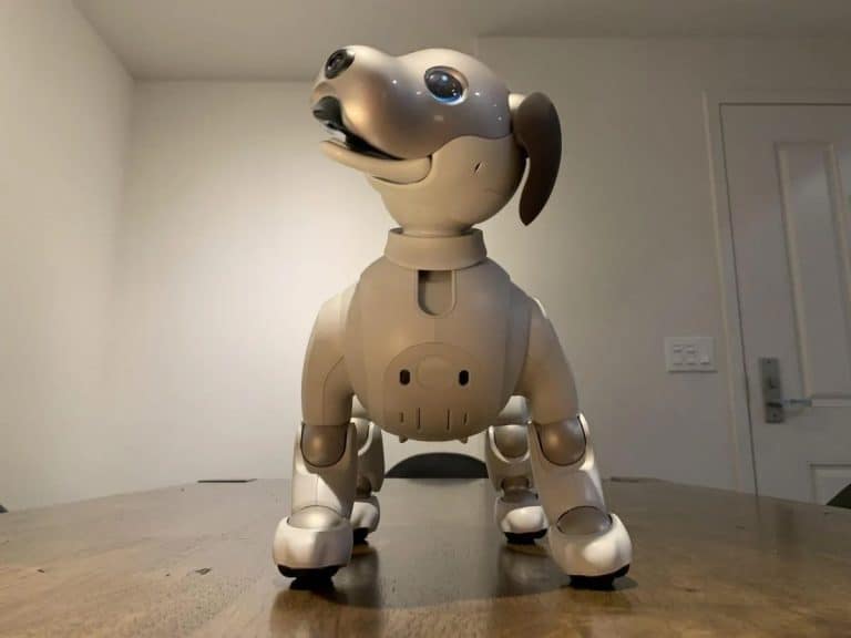 Sony's Aibo RoboCop Dog Can Now Watch Over Your Family - Robot Pet Friends