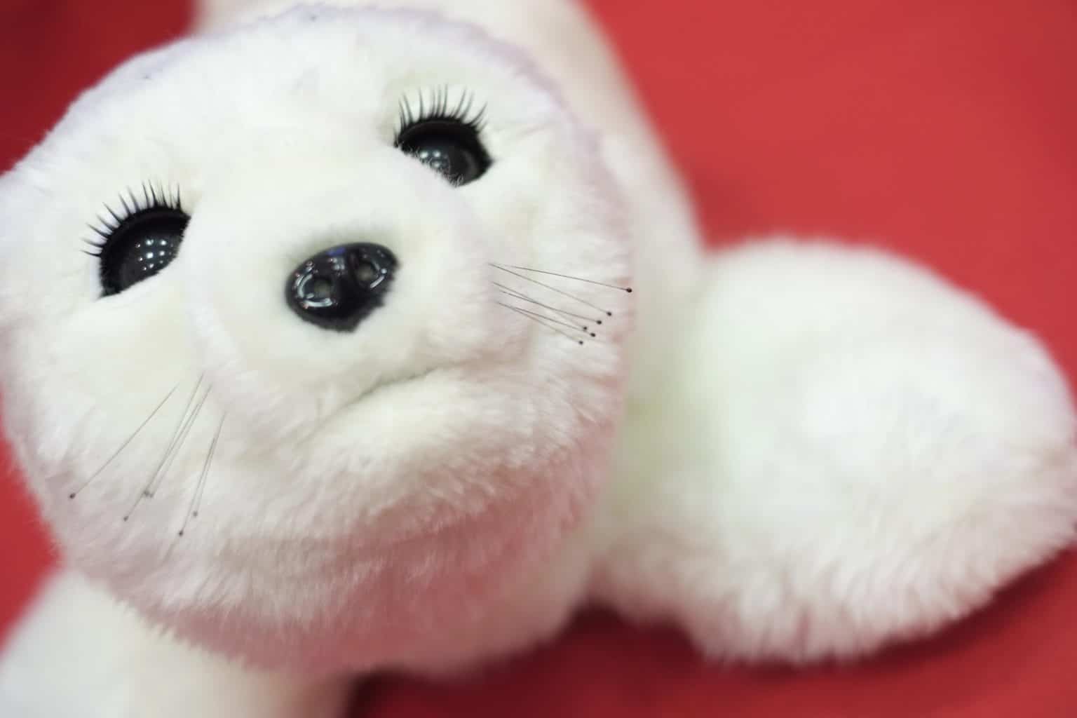 5 of the Most Realistic Robot Pets Mimicking Real Animals - Robot Pet ...