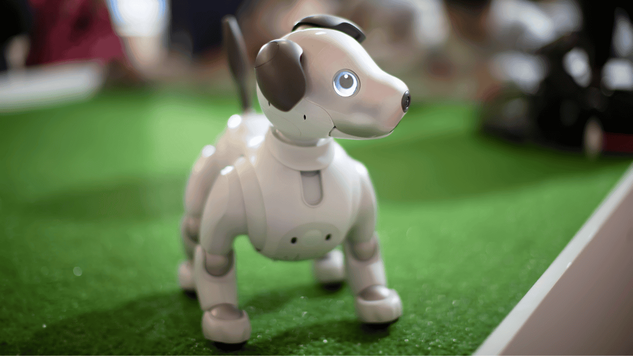 The Carbon Footprint of Robot Pets Explained - Robot Pet Friends