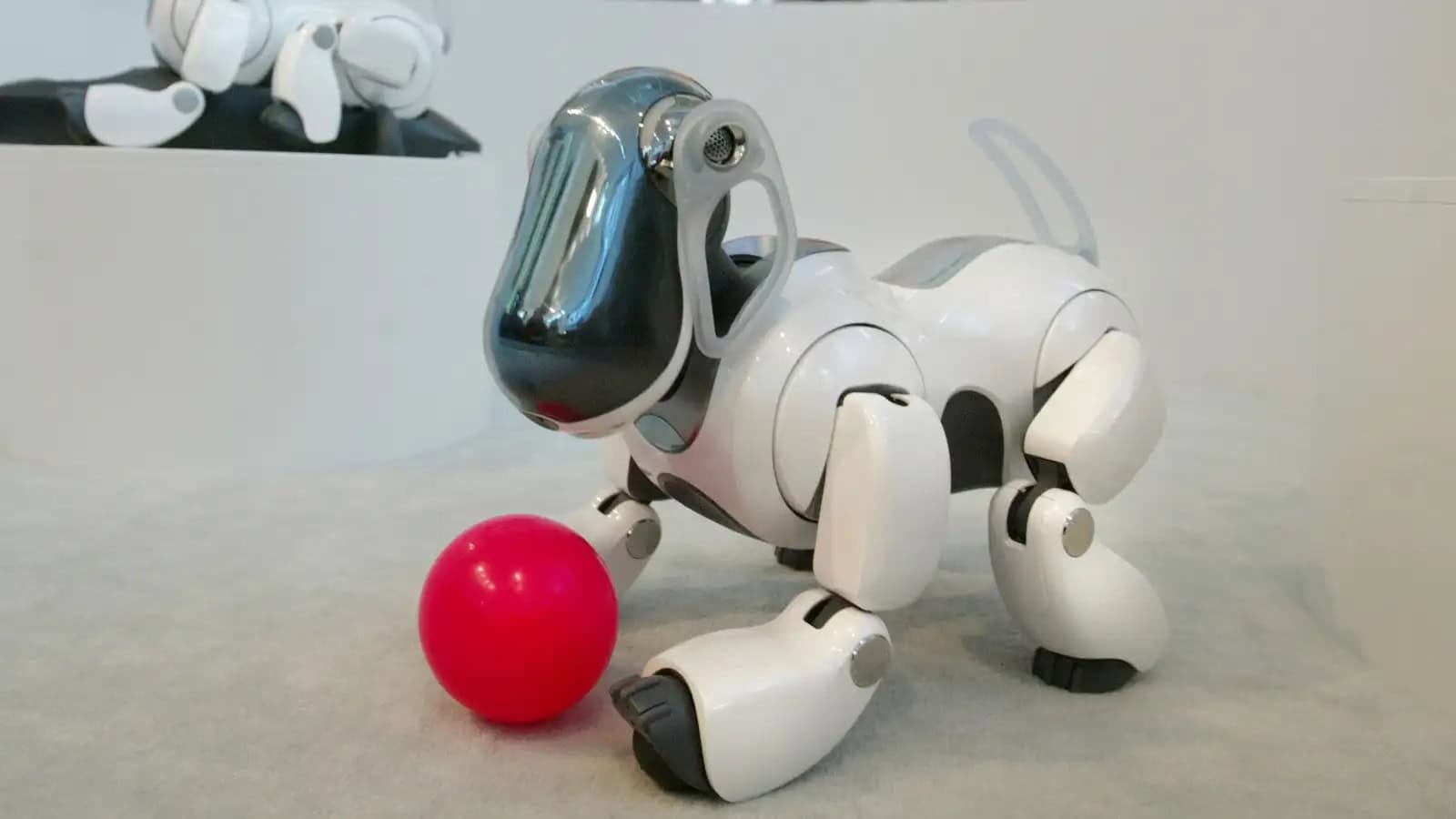 The Carbon Footprint of Robot Pets Explained - Robot Pet Friends