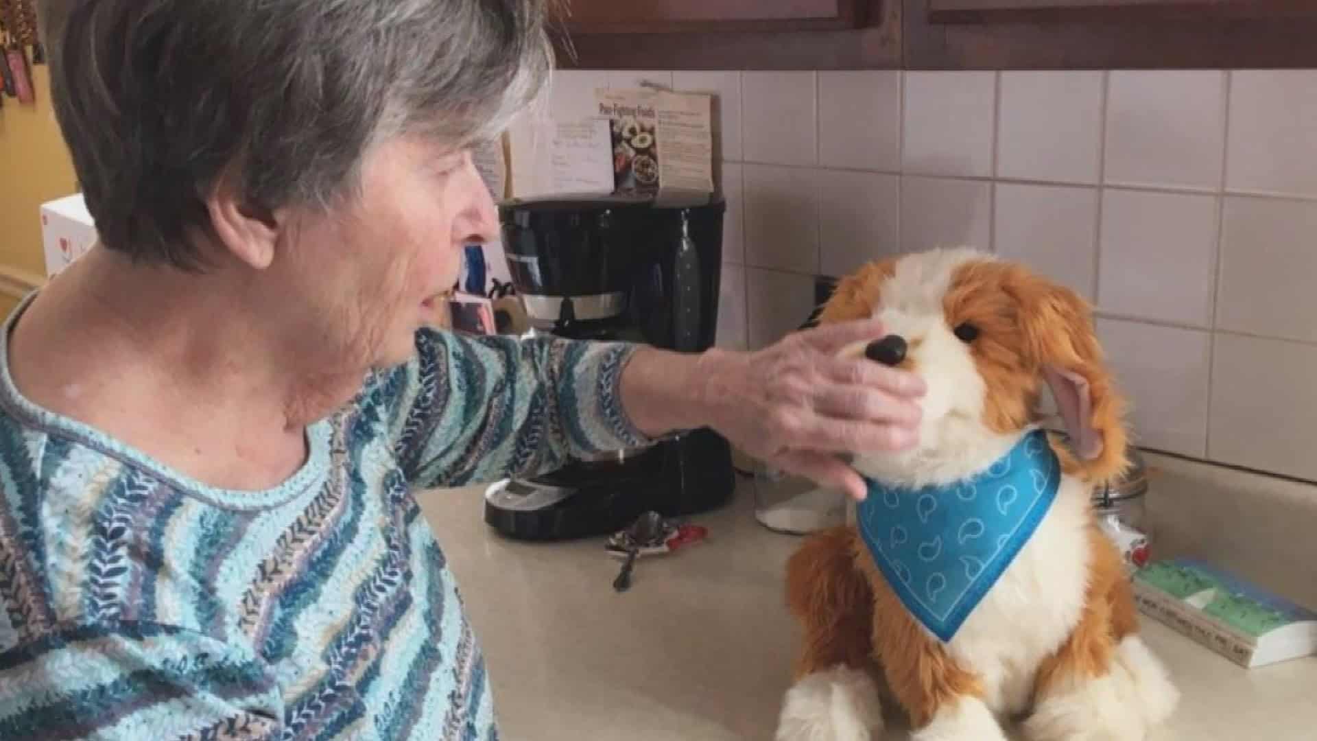 7 User-Friendly Robot Pets for Seniors - Robot Pet Friends