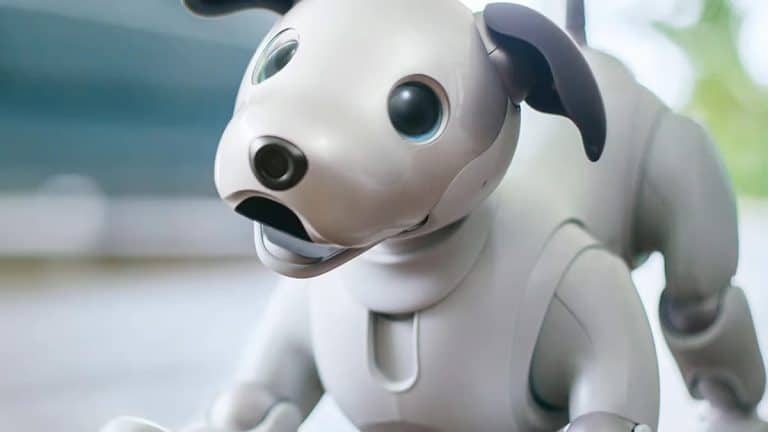 7 User-Friendly Robot Pets for Seniors - Robot Pet Friends