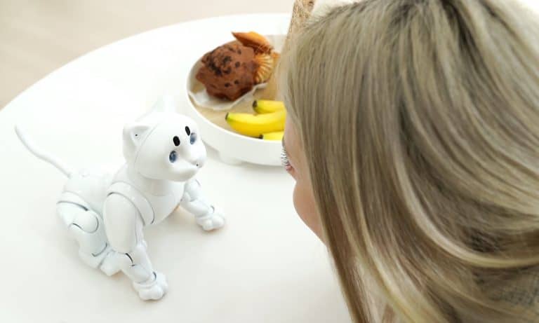 7 Technological Advancements Shaping the Future of Robot Pets - Robot ...