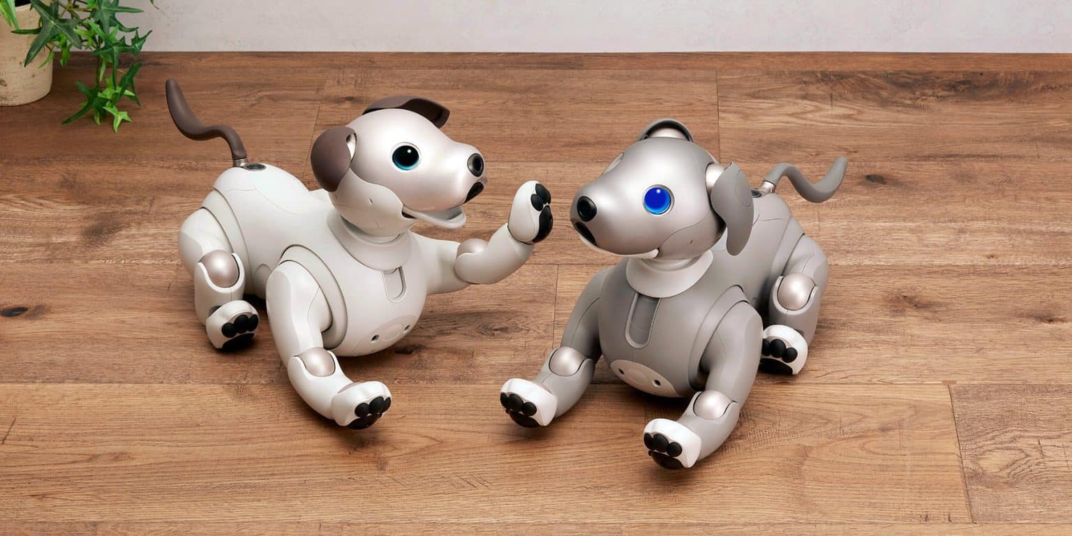 7 Technological Advancements Shaping the Future of Robot Pets - Robot ...