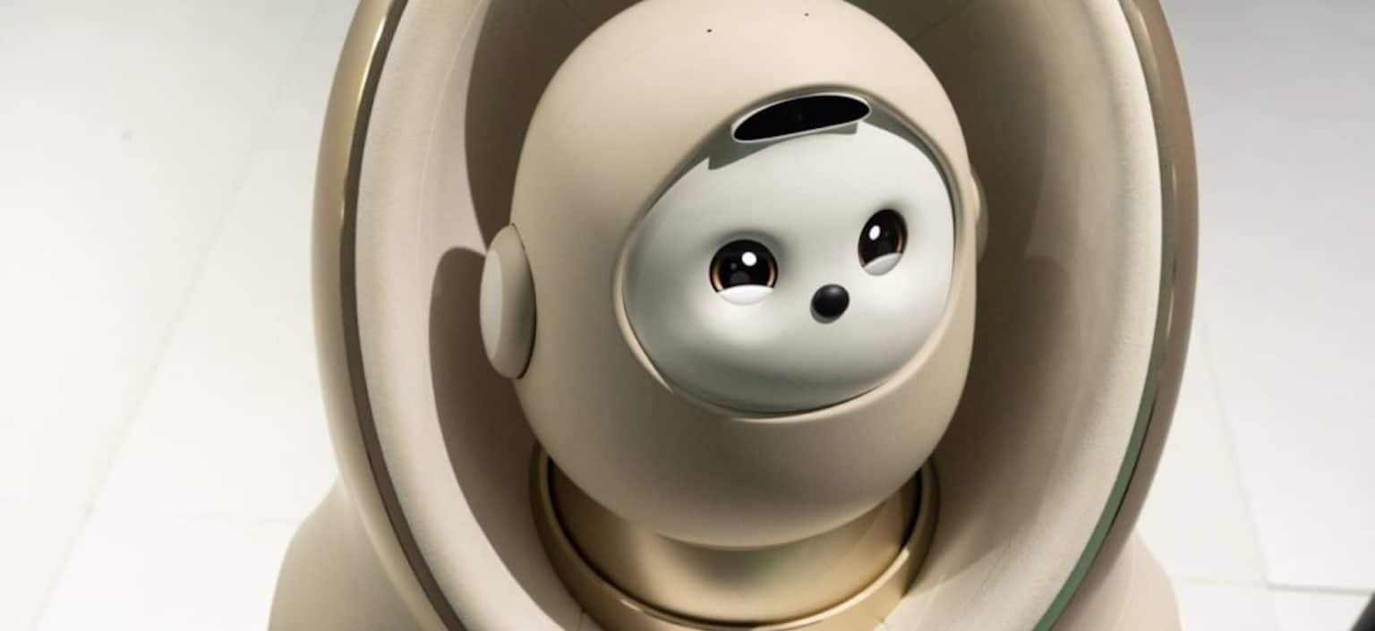 Meet the 5 AI Companion Robots Set to Revolutionize Daily Life in 2025 ...