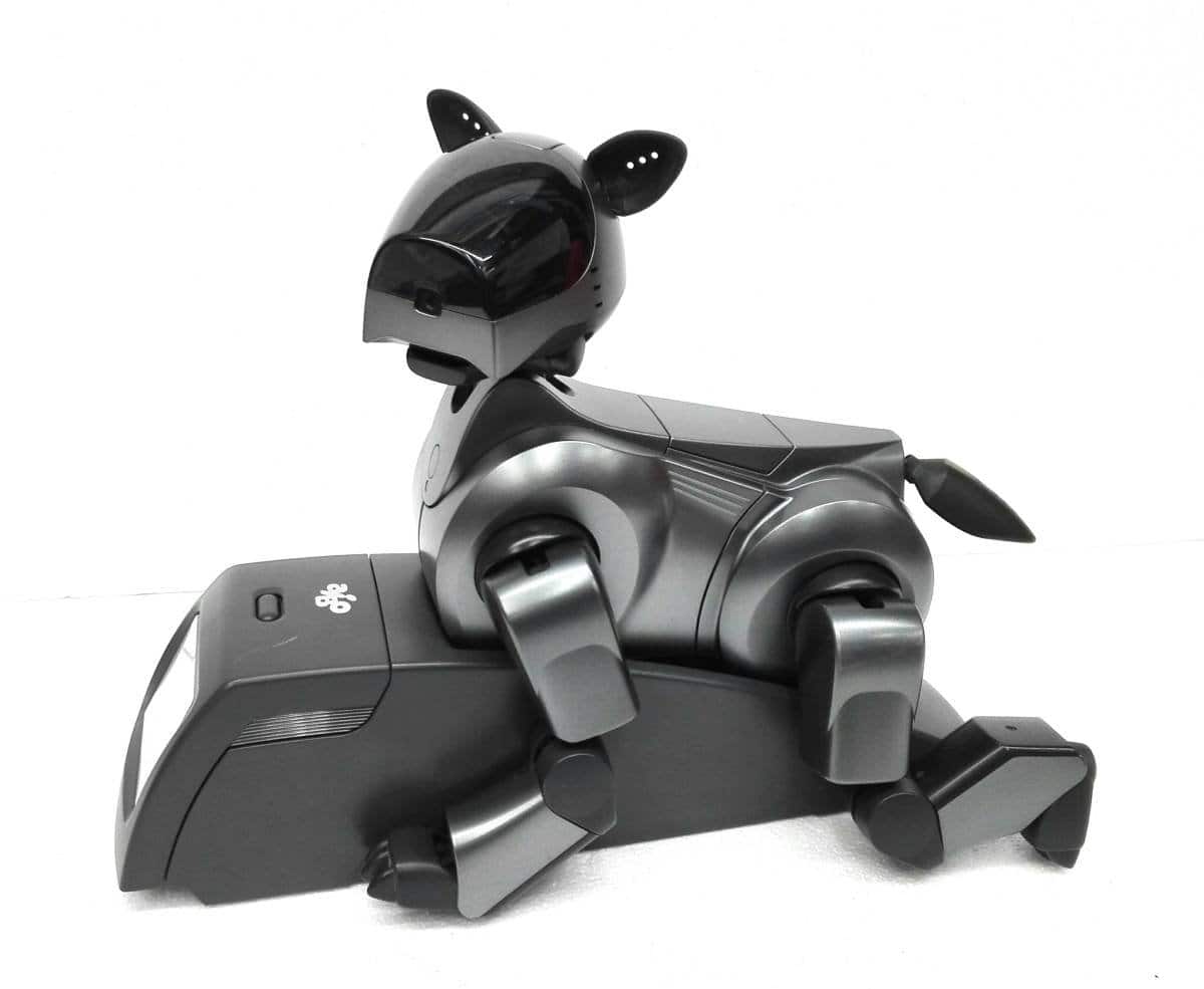 7 Technological Advancements Shaping the Future of Robot Pets - Robot ...