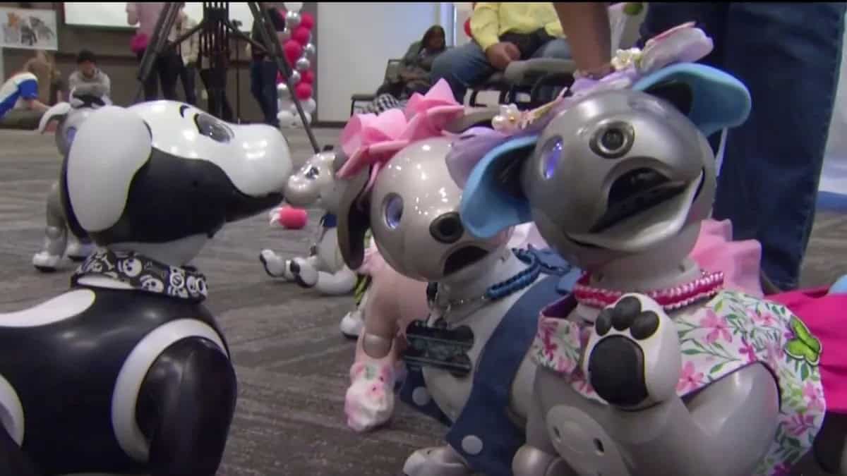 Aibo Robot Dog Owners Gather in San Jose for Annual Meetup - Robot Pet ...