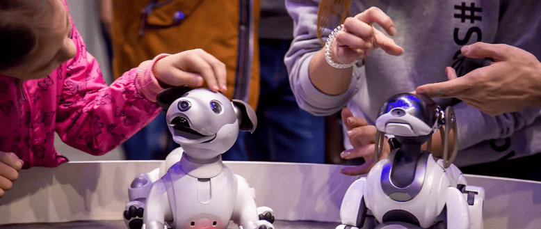 Robot Pet Therapy Integration in School Settings for Autism - Robot Pet ...