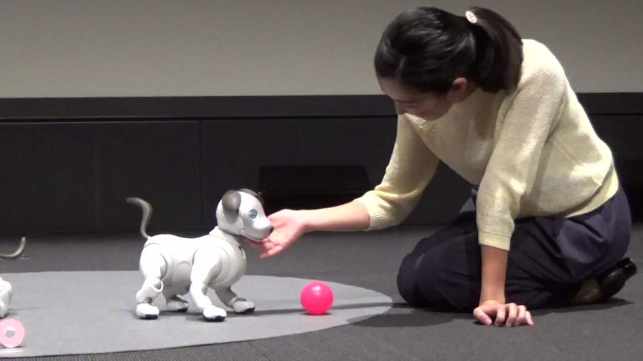 How to Prepare Caregivers to Incorporate Robot Pets in Autism Therapy ...