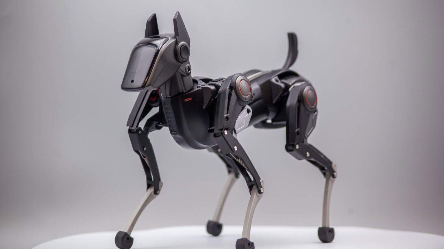 Hengbot Unveils Sirius: A Smart, Programmable Robotic Dog with ...
