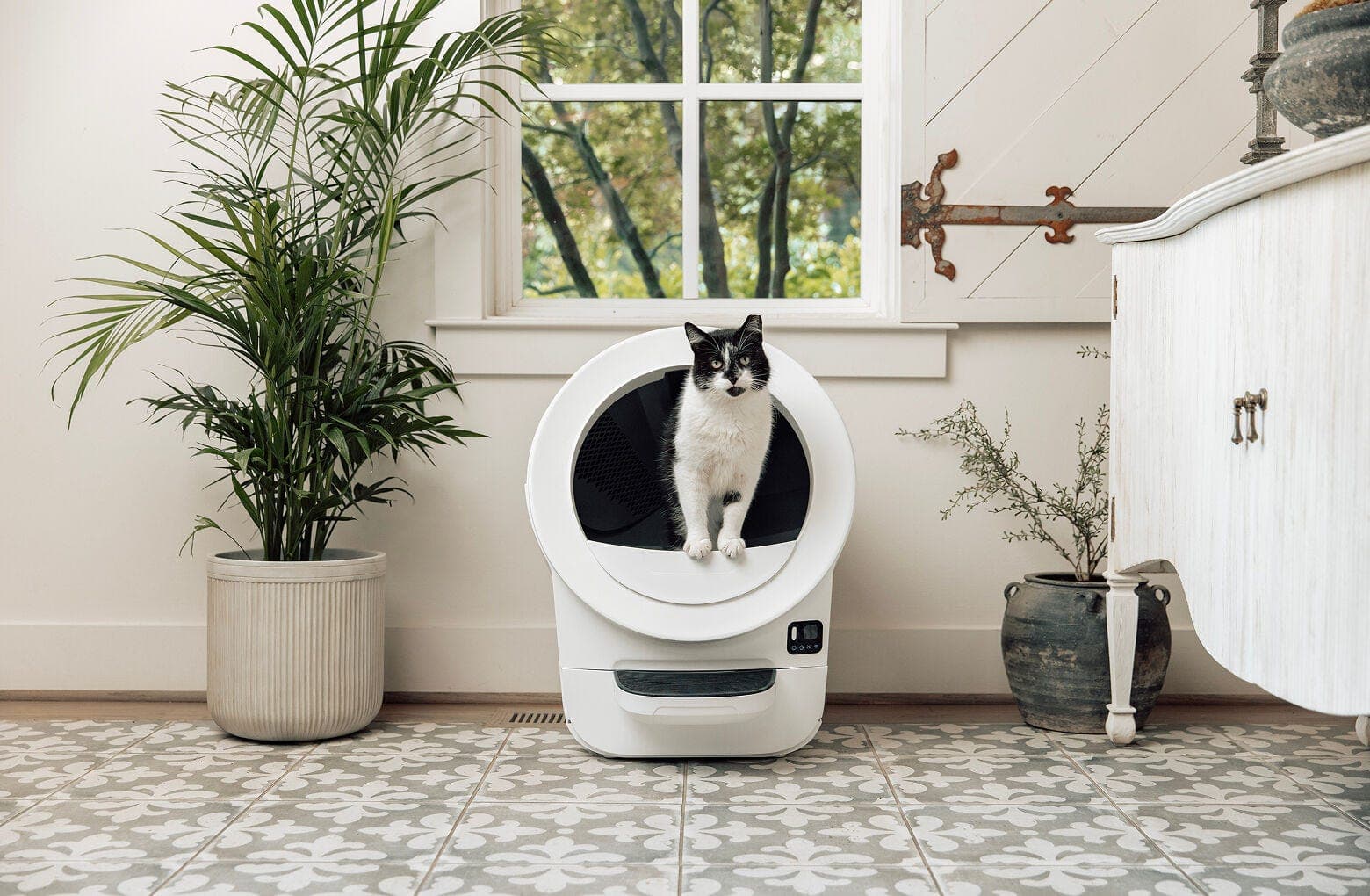 Litter-Robot 5 Pro Evo Brings AI Smarts and Dual Cameras to Self ...